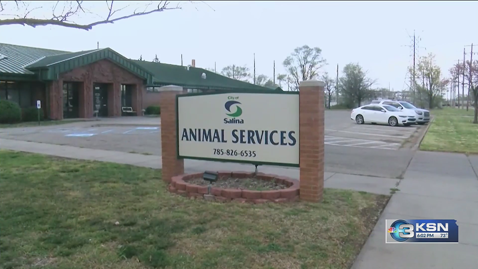 Pair make first appearance in Salina shelter animal cruelty case – KSN-TV