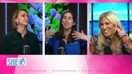 Spotlight New England: Guest Dr. Alyssa Findley, Findley Dermatology ...