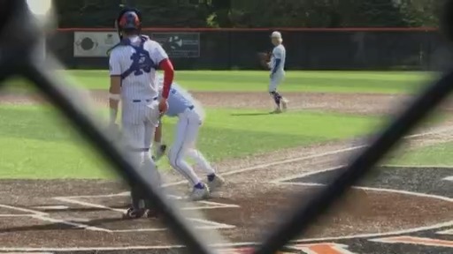 Mason baseball falls to Detroit Catholic Central in regional title game ...
