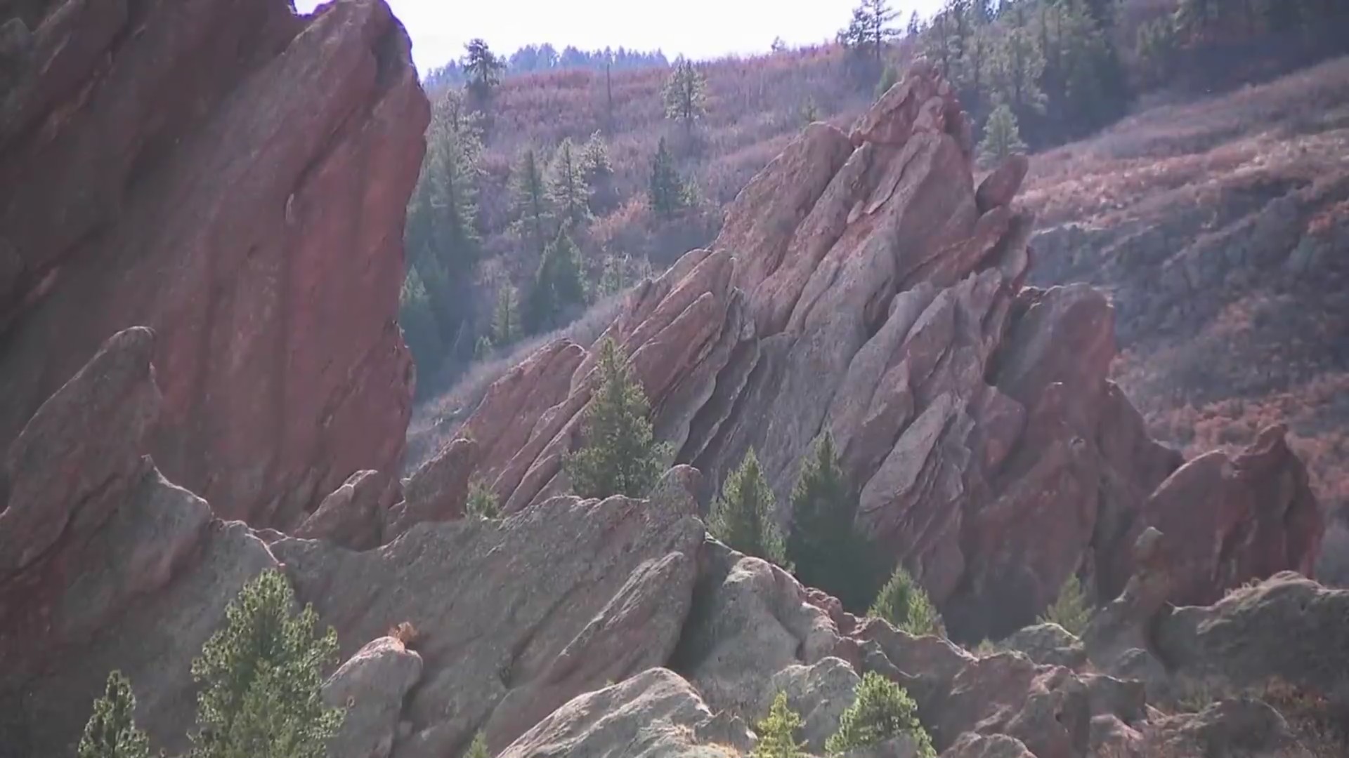 Coloradans get outside with free state park entry – FOX31 Denver