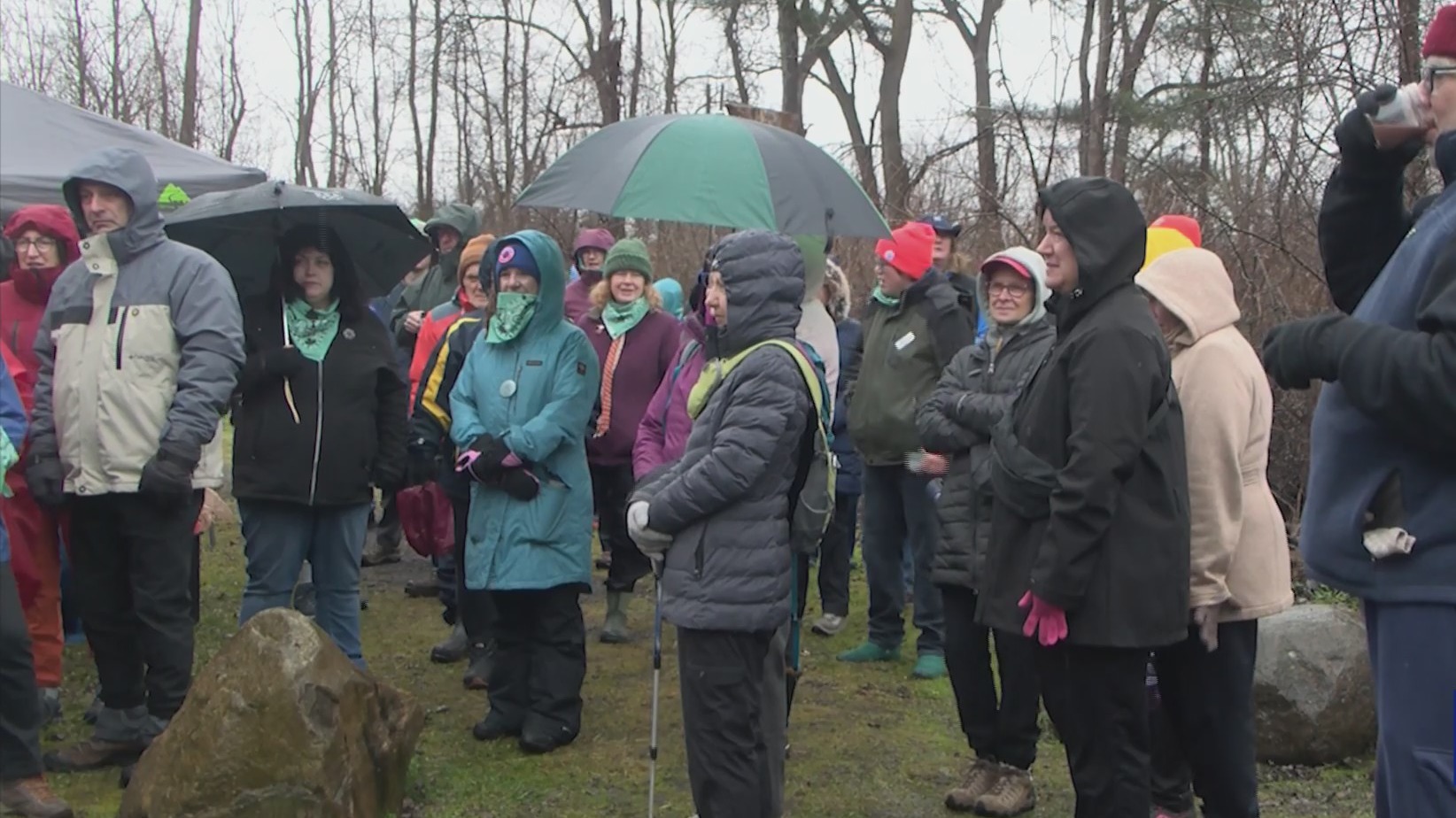 Start the New Year Outdoors: First Day Hikes return across New York ...