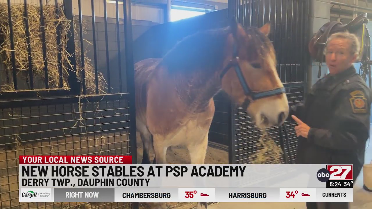 TAKE A LOOK: New state-of-the-art horse stables at the Pennsylvania ...