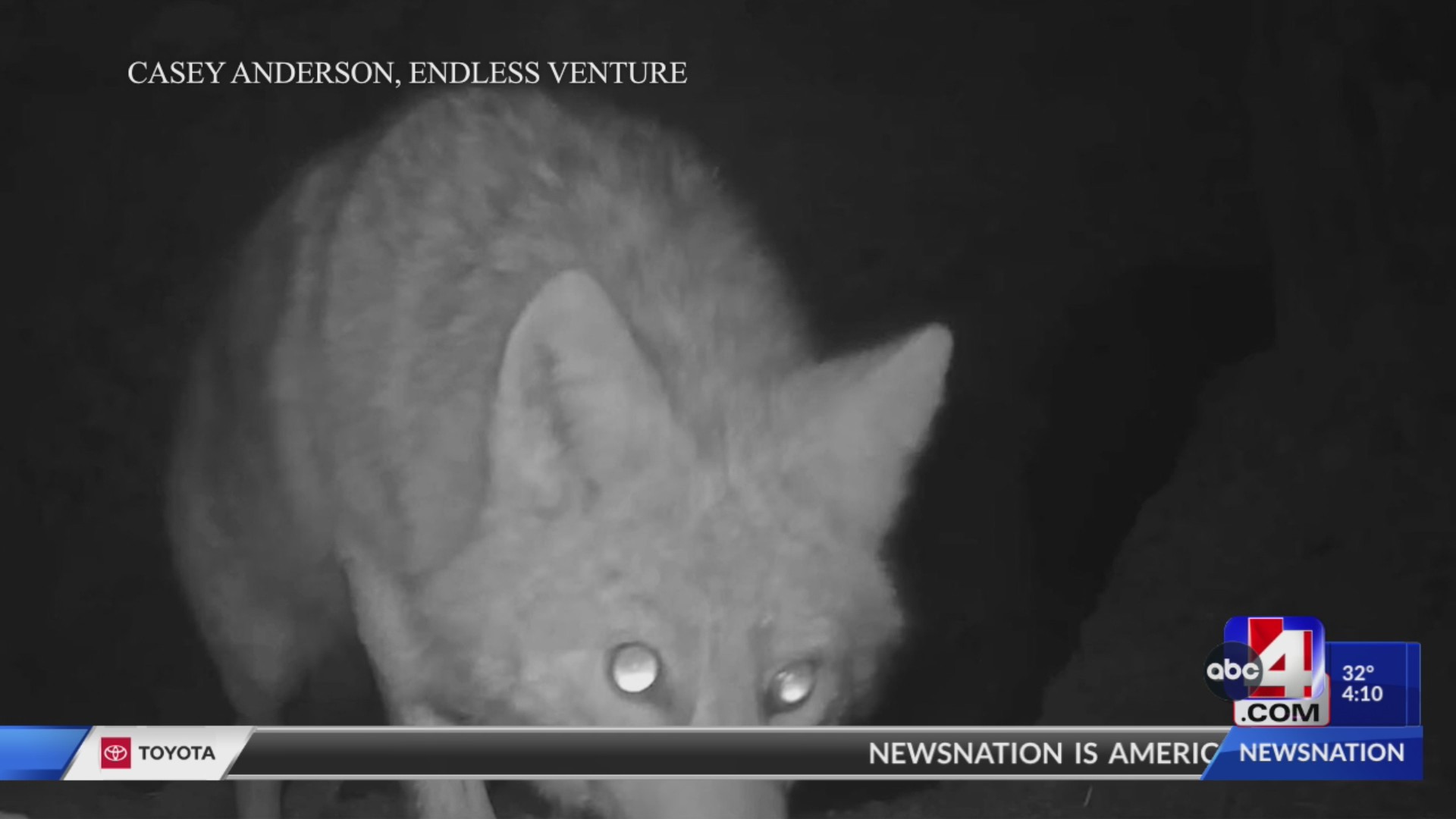 Filmmaker who left camera in a grizzly bear cave shares story with ABC4 ...