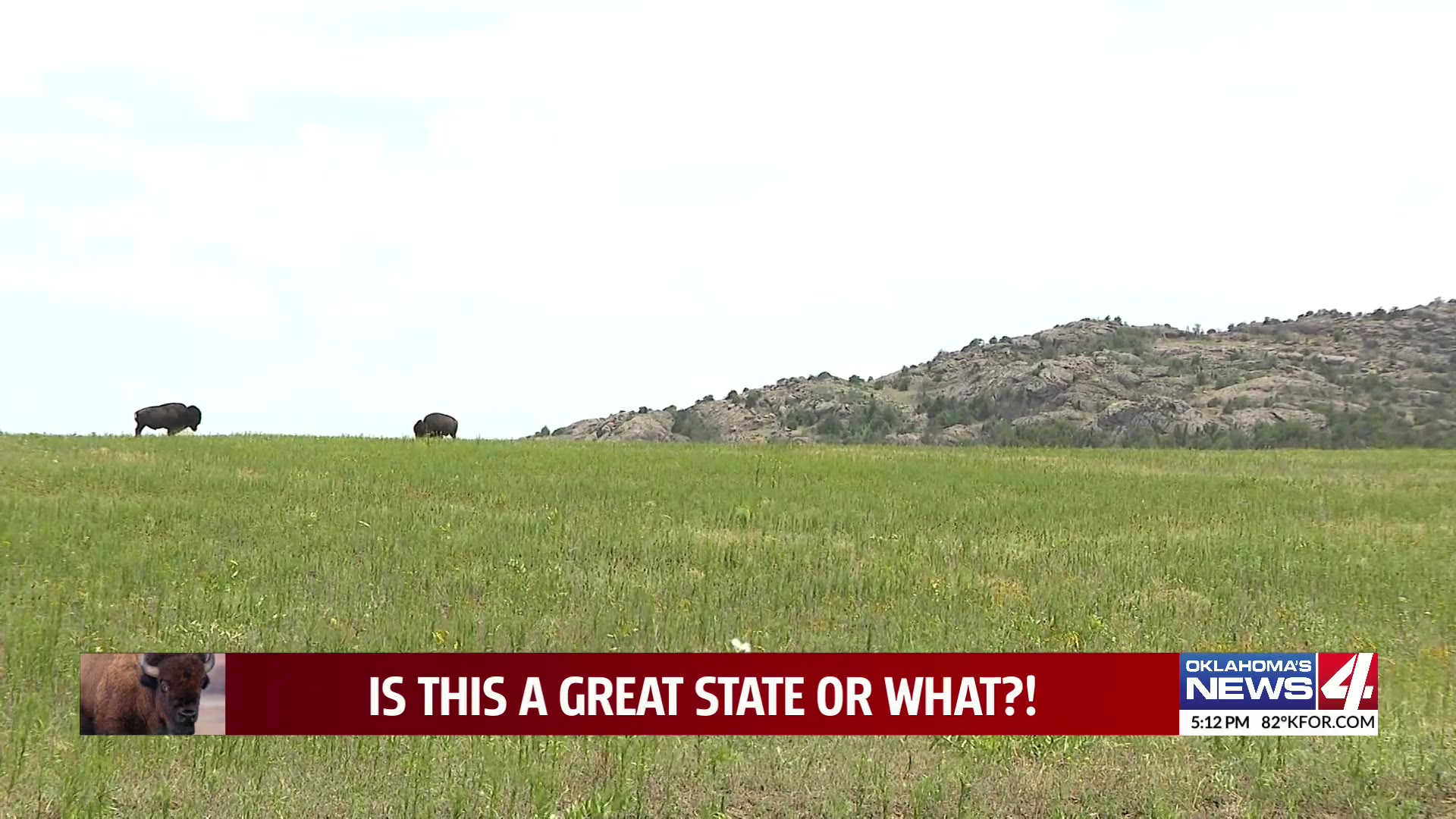 Wichita Wildlife Refuge celebrates 125 years – KFOR.com Oklahoma City
