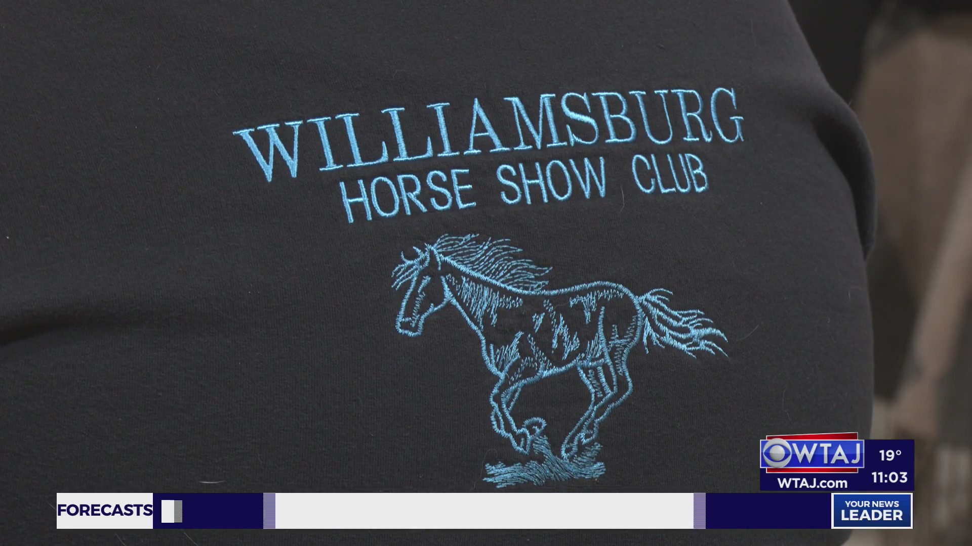 Williamsburg Farm Show board moves to terminate Horse Show Committee ...