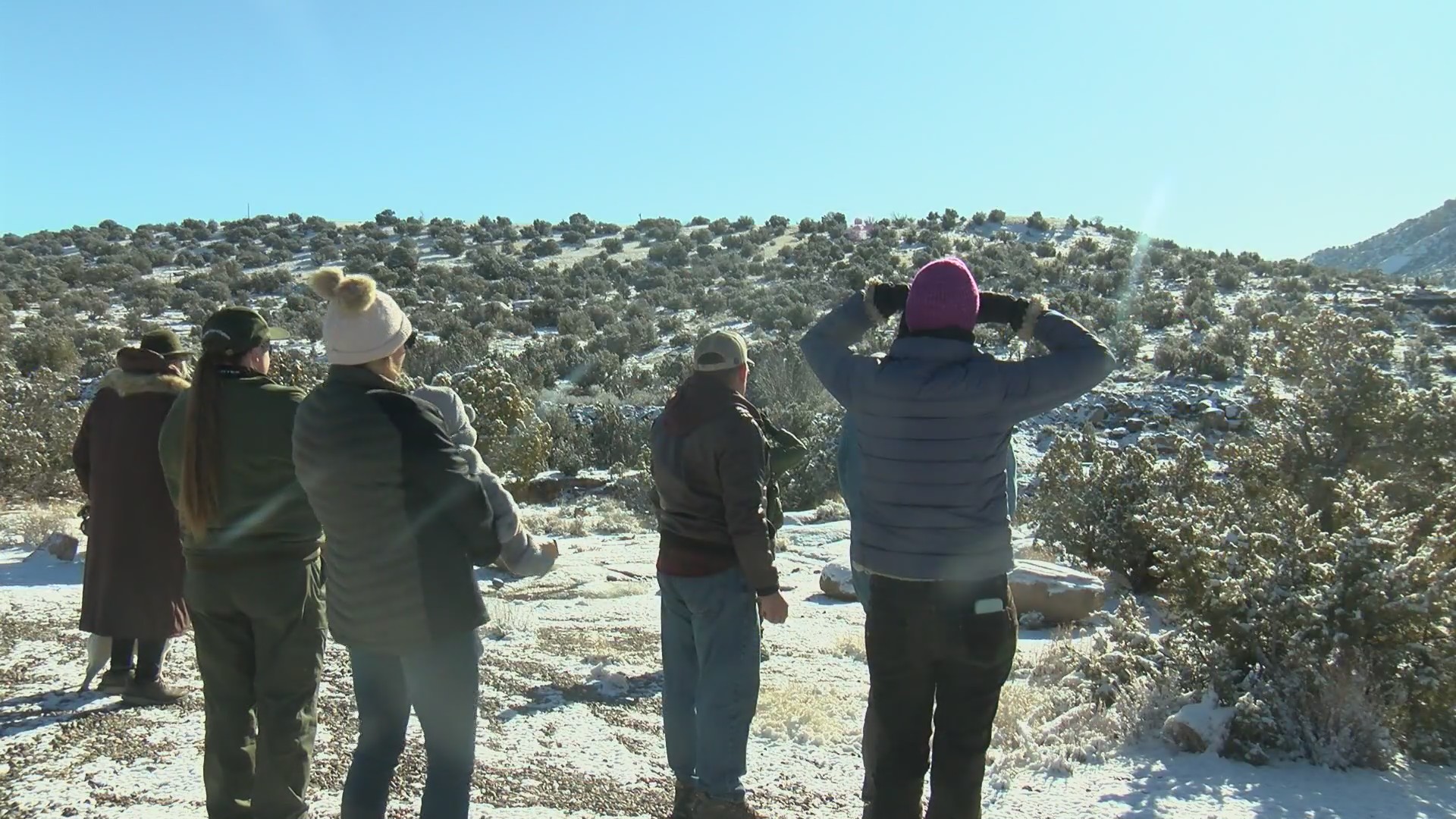 Abiquiu Lake holds annual bald eagle count to track population ...