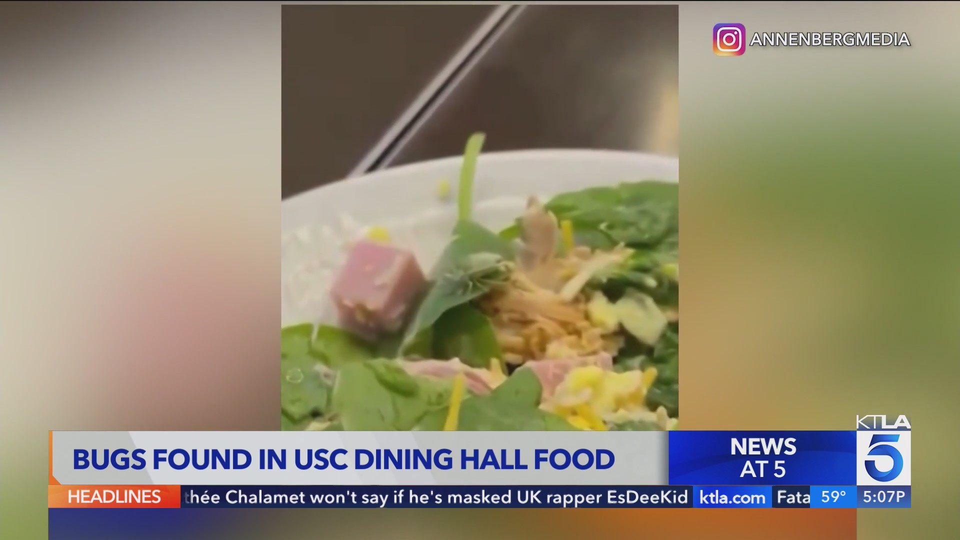 Bugs found in food served at USC dining halls, students say – KTLA