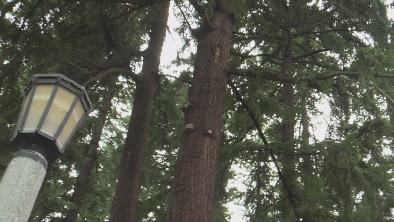 Traveling in Oregon on Christmas Eve? Prepare for winter storms and ...