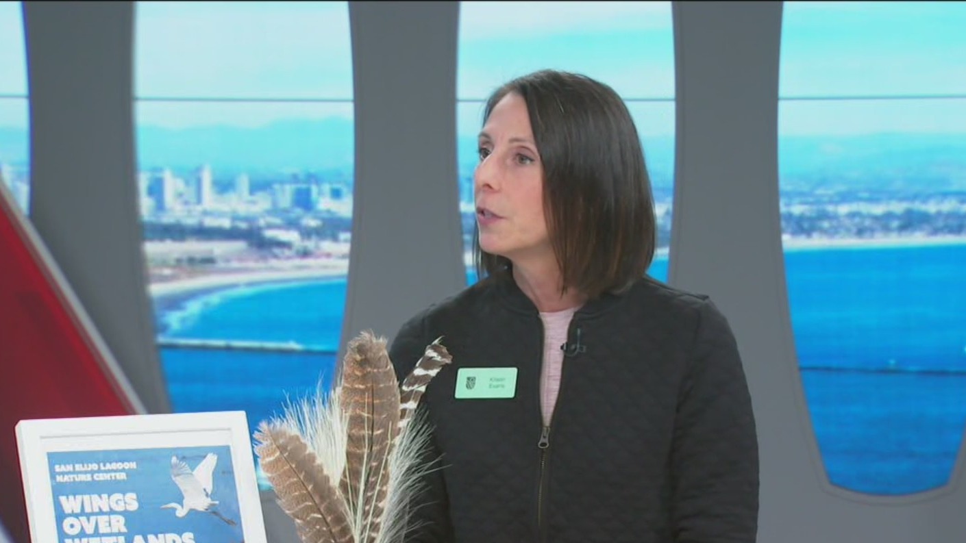 Nature Collective offering free events for bird lovers – FOX 5 San ...