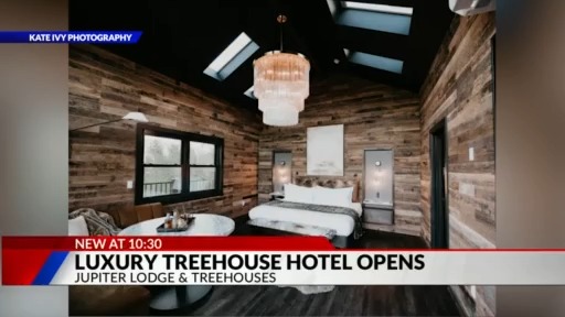 Colorado’s first luxury treehouse hotel opens in the woods of Evergreen ...