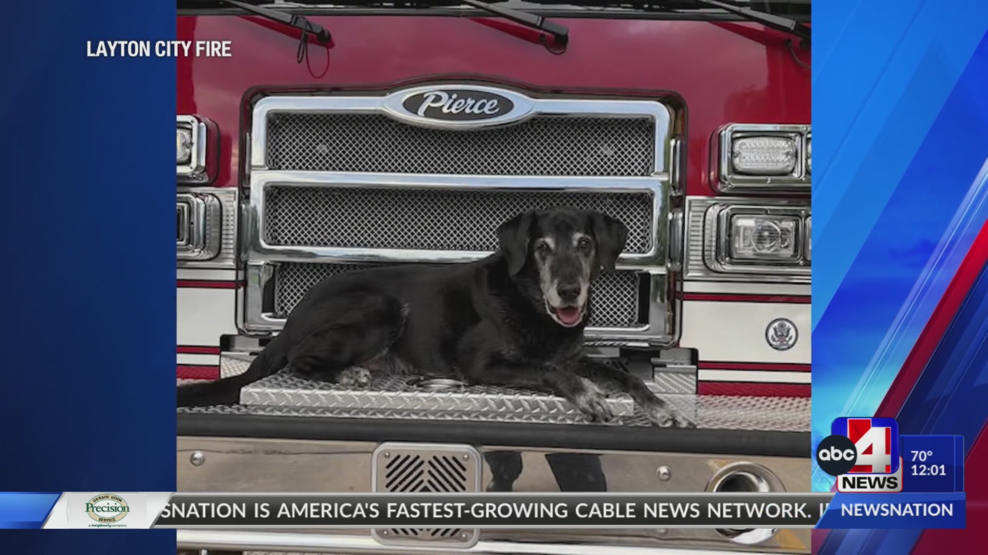 Layton City Fire Department mourns loss of K9 – ABC4 Utah