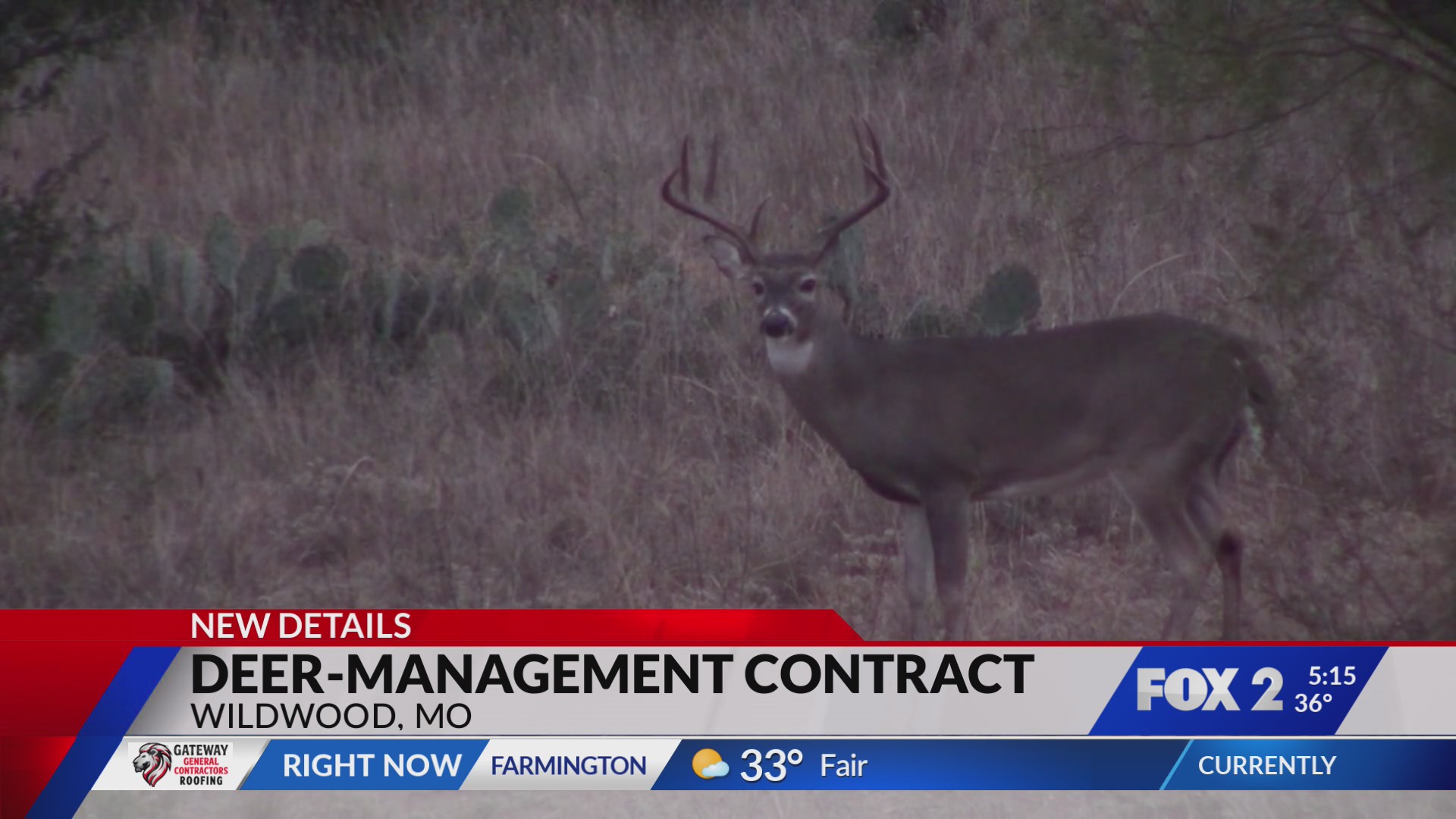 Wildwood strikes down contract for deer culling season – FOX 2