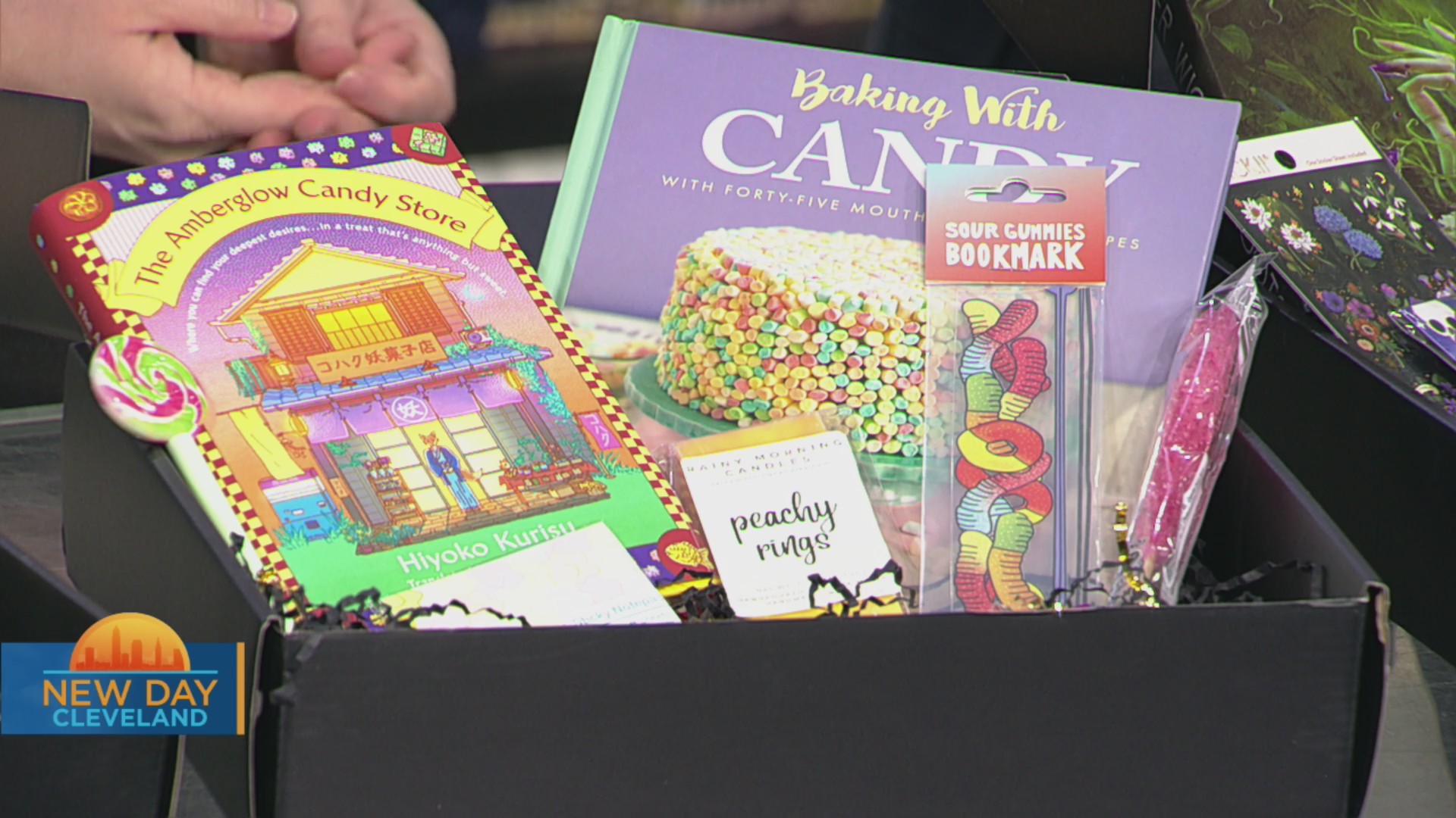 New Day Cleveland: Black Cat Books and Oddities – Fox 8 Cleveland WJW