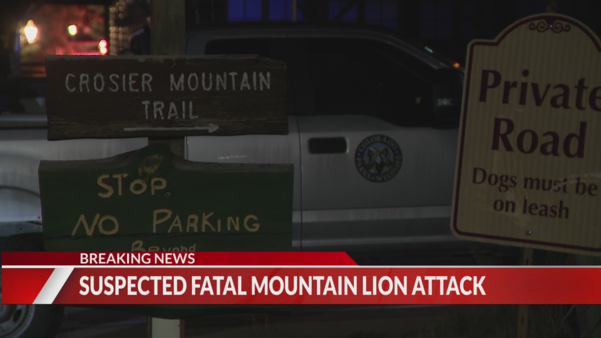 Woman dead after suspected mountain lion attack in Larimer County – KX NEWS