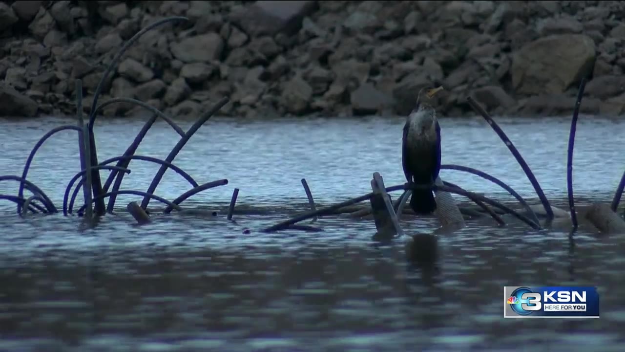 Low water levels at Cheney driving concern – KSN-TV