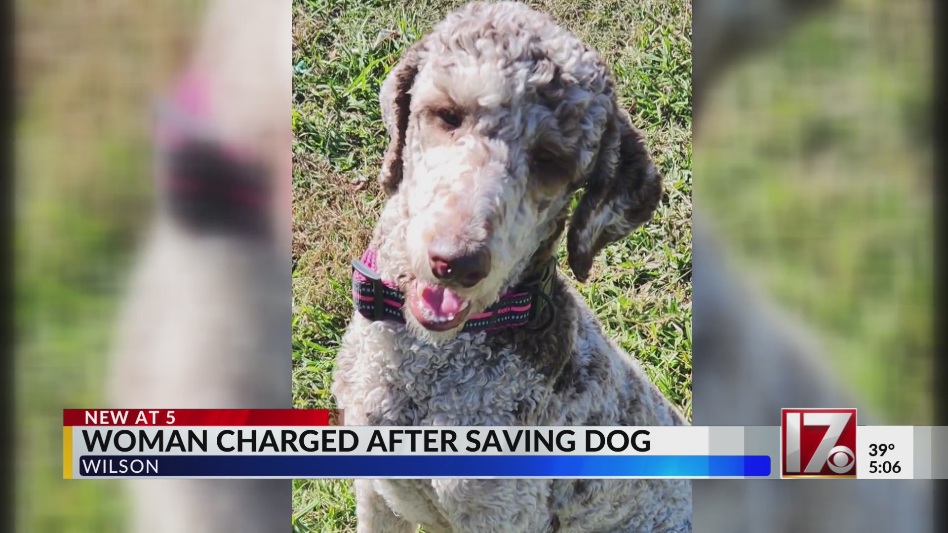 Woman charged after saving dog in Wilson – CBS17.com