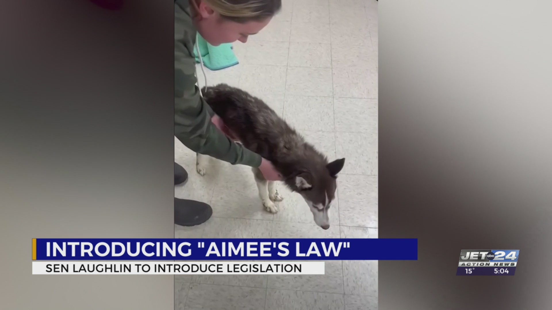 PA senator introduces ‘Aimee’s Law’ following death of husky in Erie ...