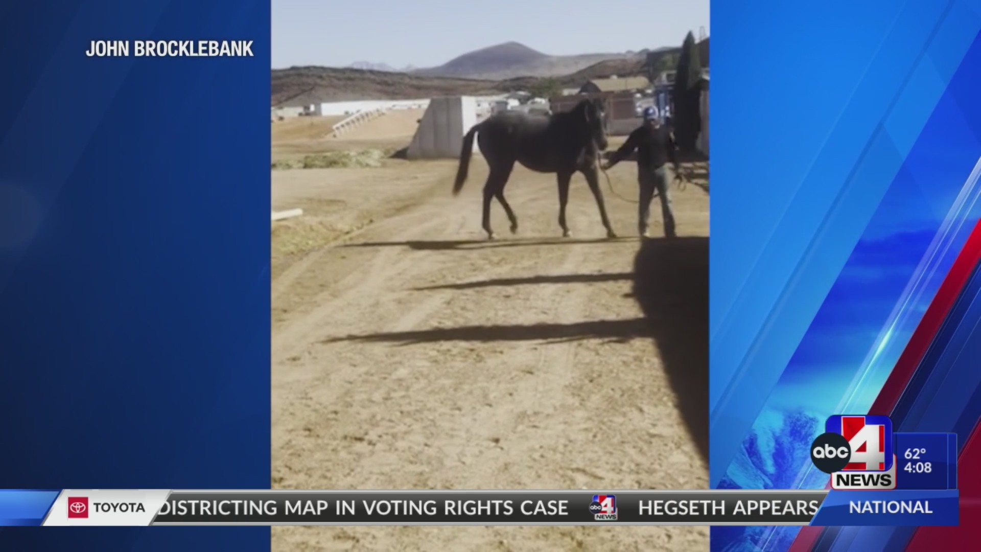 Utah horse headed to compete in Kentucky Derby – ABC4 Utah