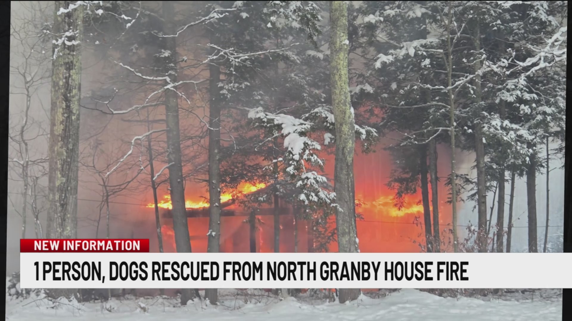 Person, 2 dogs rescued from house fire on Lost Acres Road in Granby ...