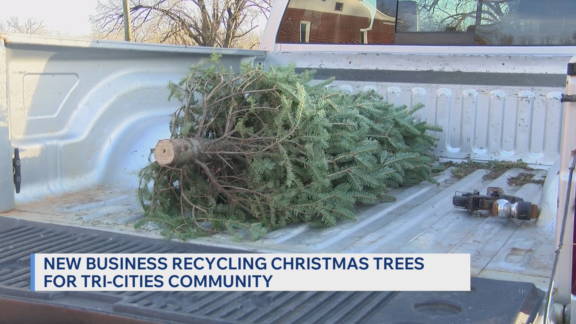 ‘Junk Busters’ of KPT offers free Christmas tree disposal – WJHL | Tri ...