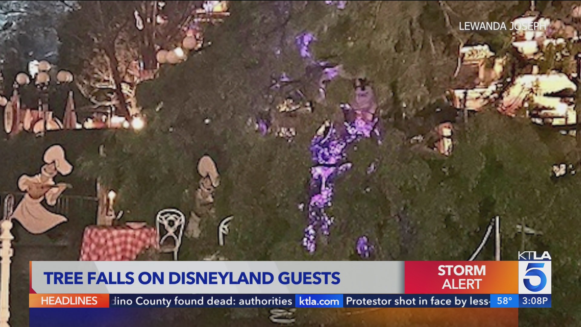 Tree falls on guests at Disneyland – KXAN Austin