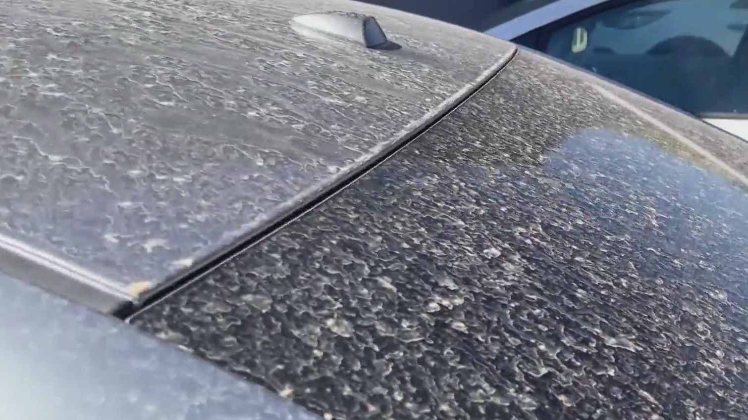 Allergy sufferers prepare for second wave of pollen in Texas – KXAN Austin