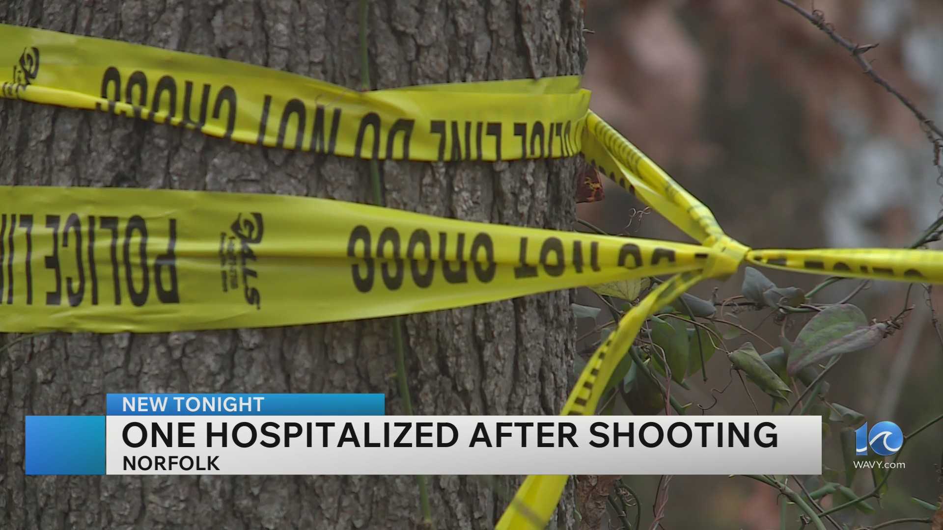 Norfolk Police investigate shooting on Lowery Road – WAVY.com