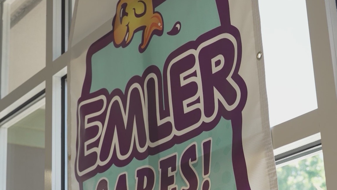 Building Swim Skills for Summer with Emler Swim School – KOIN.com