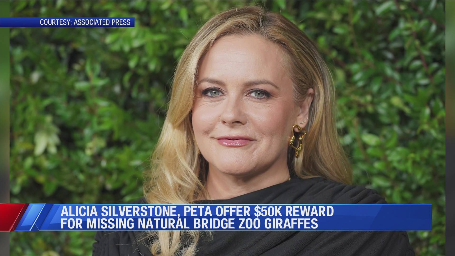 Alicia Silverstone, PETA offer $50k reward for missing Natural Bridge ...