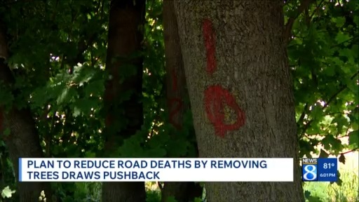 Plan to reduce road deaths by removing trees draws pushback – WOODTV.com