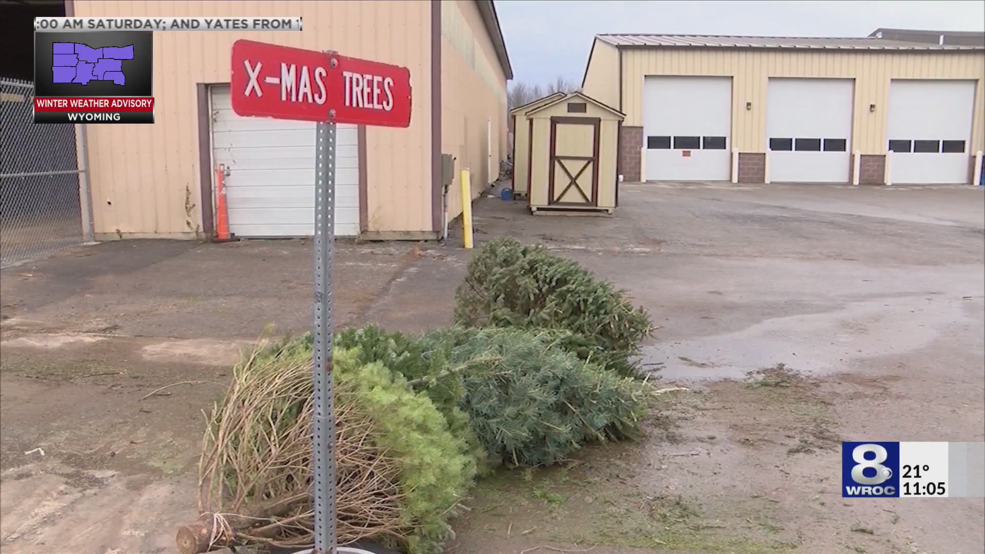 Where to discard recyclables, Christmas trees in Monroe County ...
