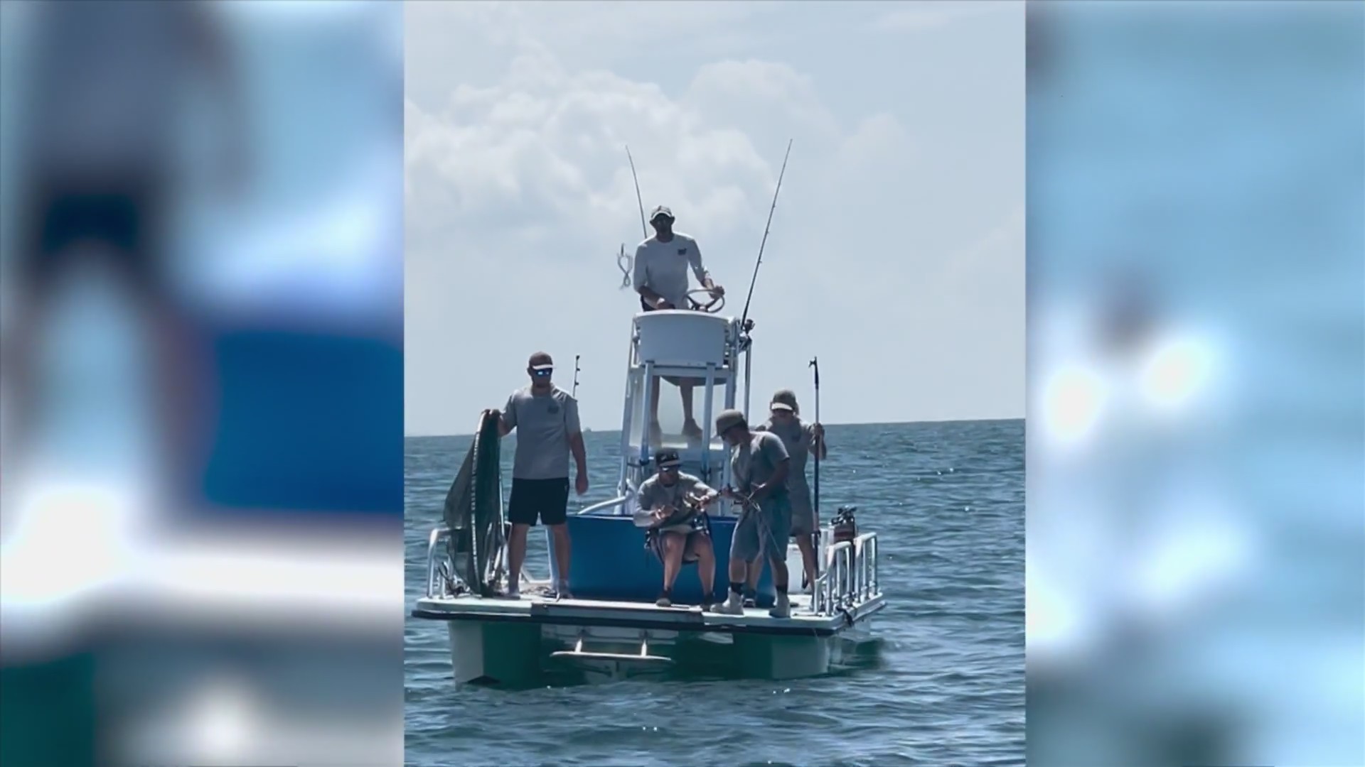 Florida bill seeks to shield endangered species from exploitation ...