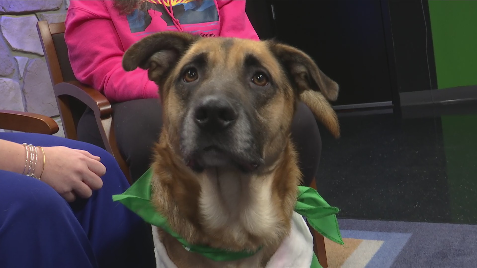 Furry Friends – Meet Scribble – WFXRtv