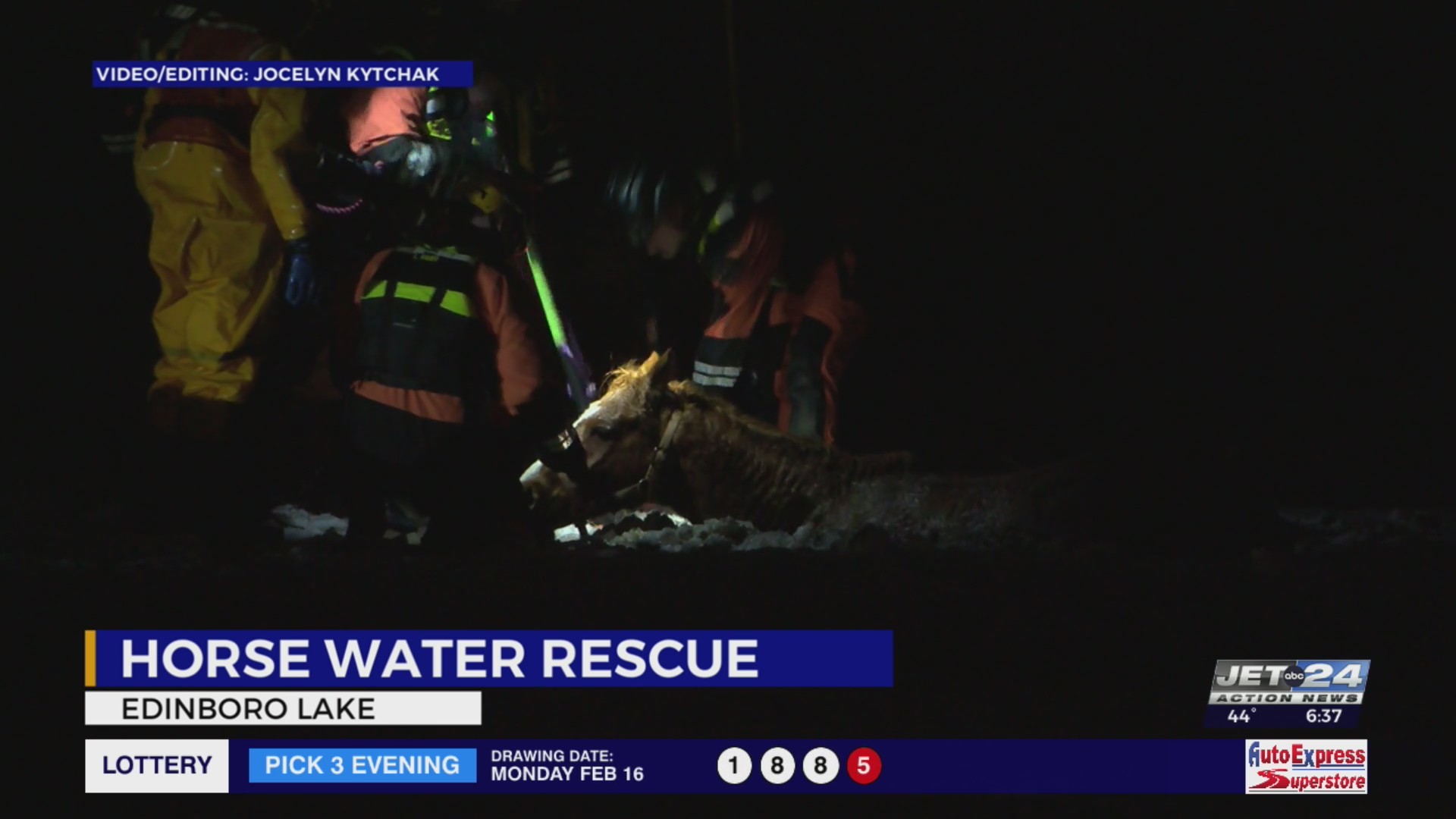 Ernie the horse safely rescued after falling through Edinboro Lake ice ...