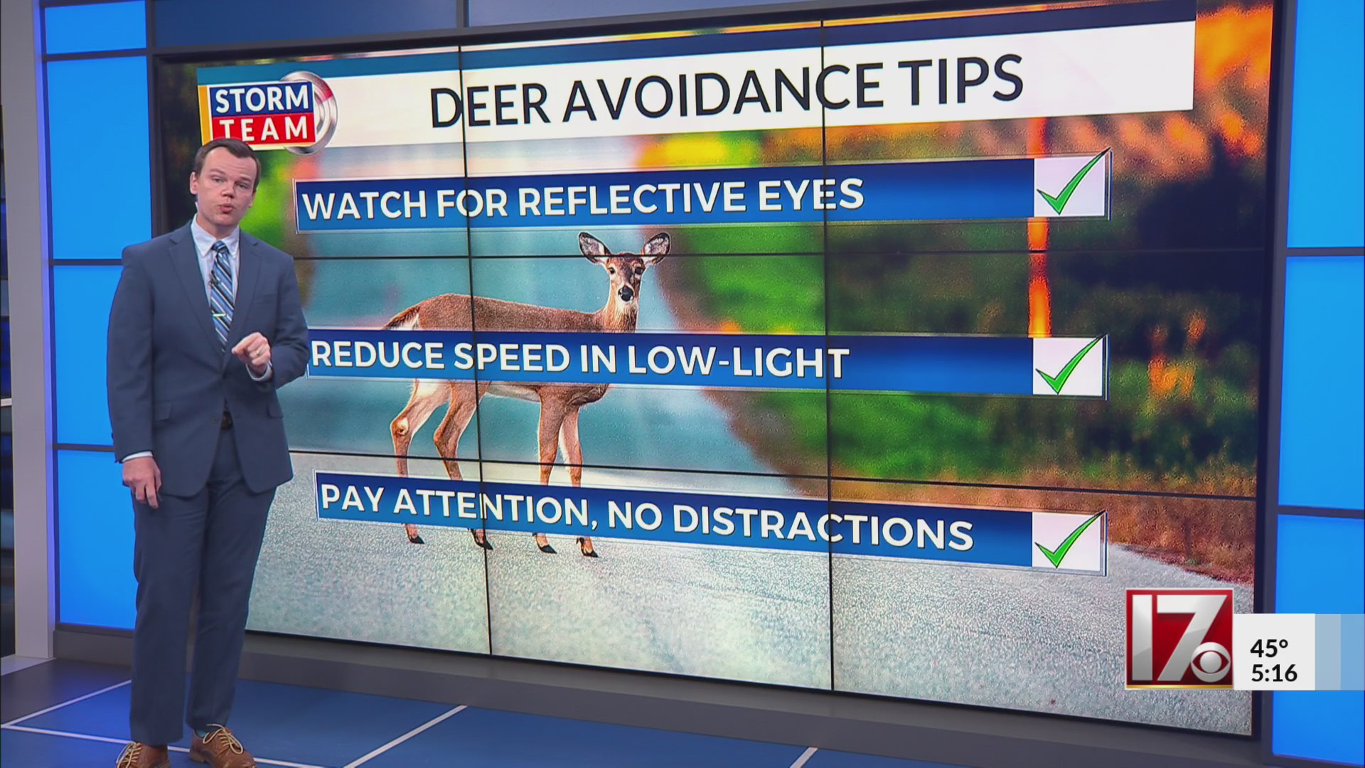 Top tips for avoiding a deer collision as temps drop – CBS17.com