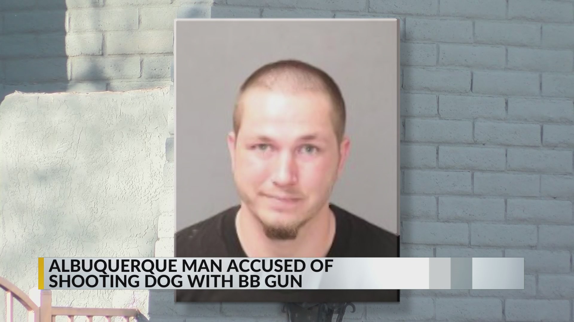 Albuquerque man accused of shooting dog with BB gun – KRQE NEWS 13 ...