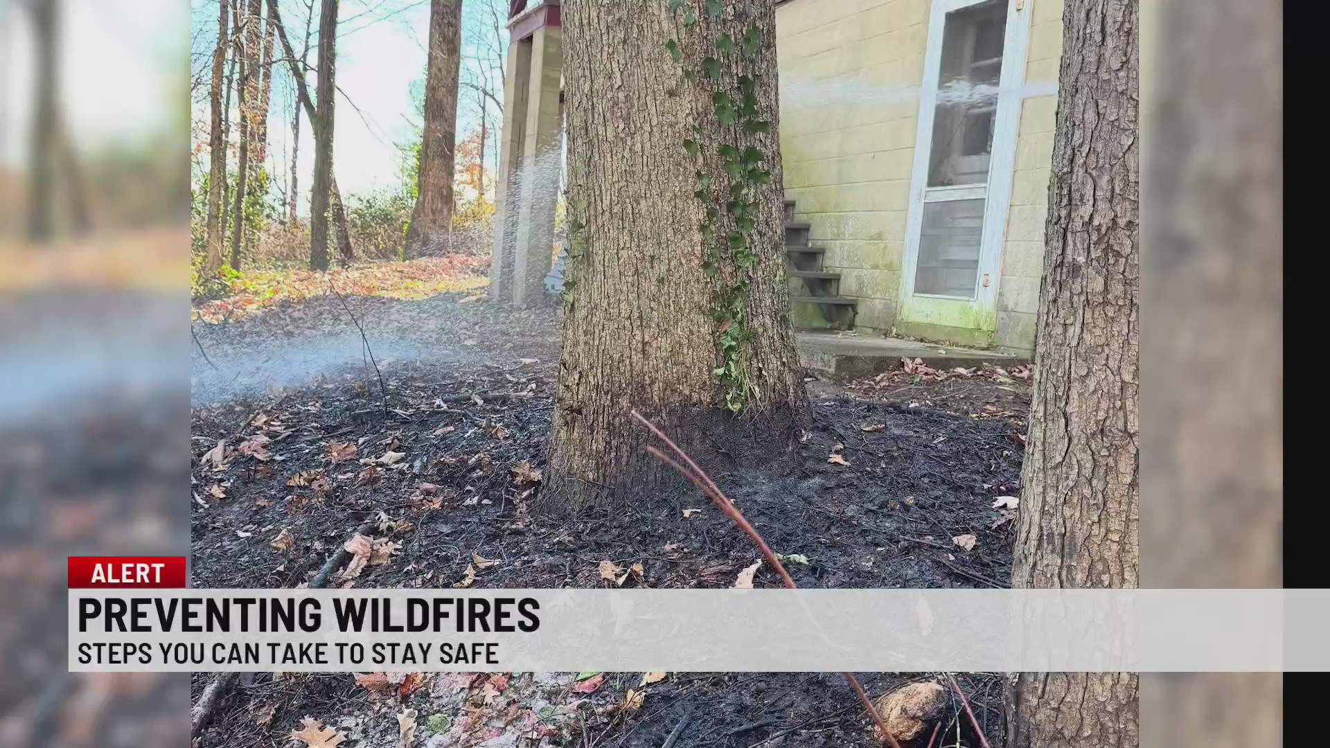 Preventing Wildfires: Steps you can take to stay safe – WSPA 7NEWS