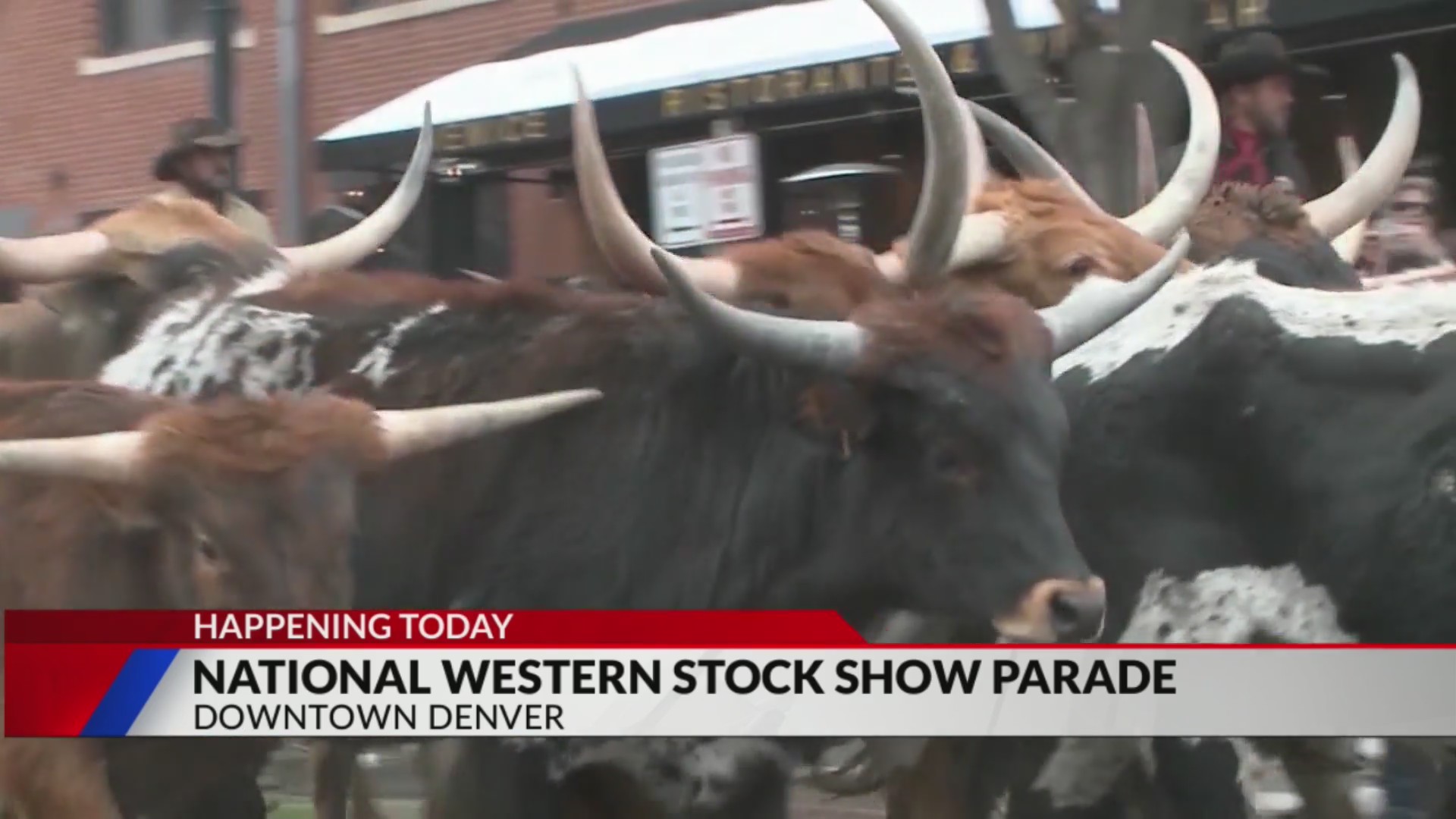 Parade kicks off National Western Stock Show in Denver – FOX31 Denver