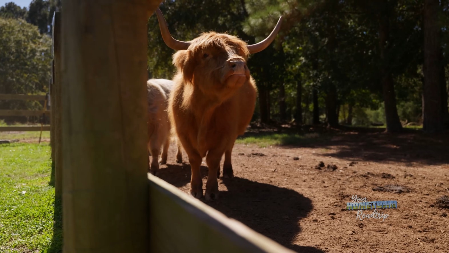 Crawford’s Double O Farm adds Airbnb and visitor tours – WJBF