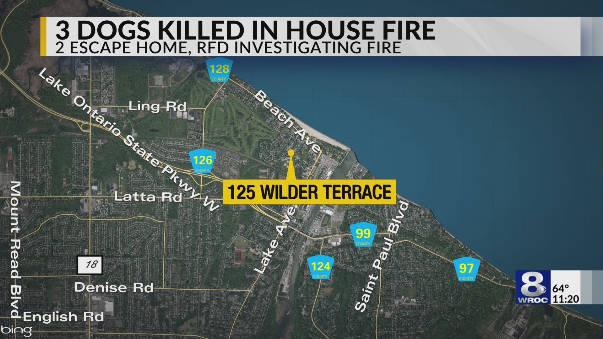Three dogs dead, two people displaced in Wilder Terrace house fire ...