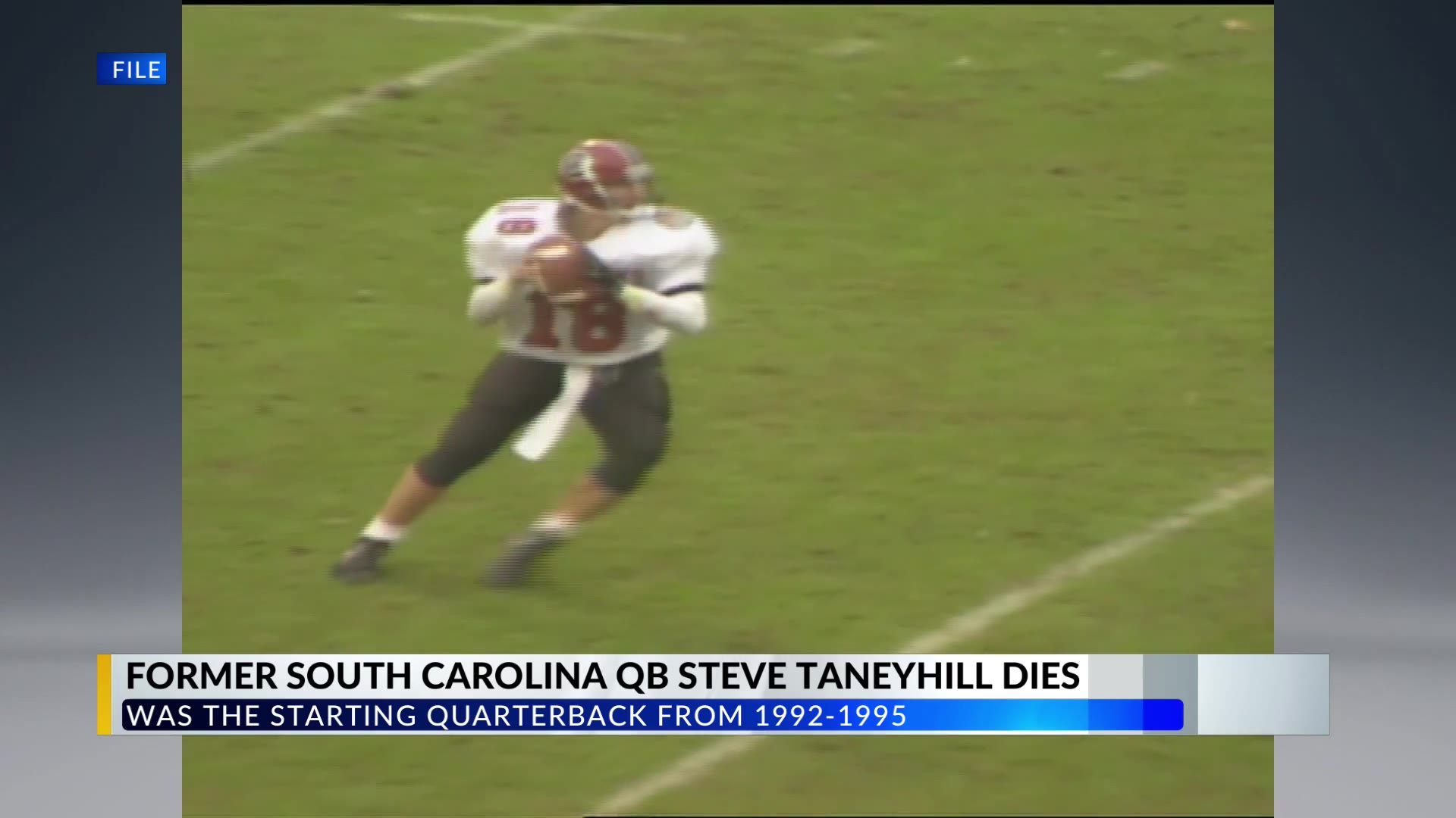 Gamecock legend Steve Taneyhill dies at 52 – WBTW