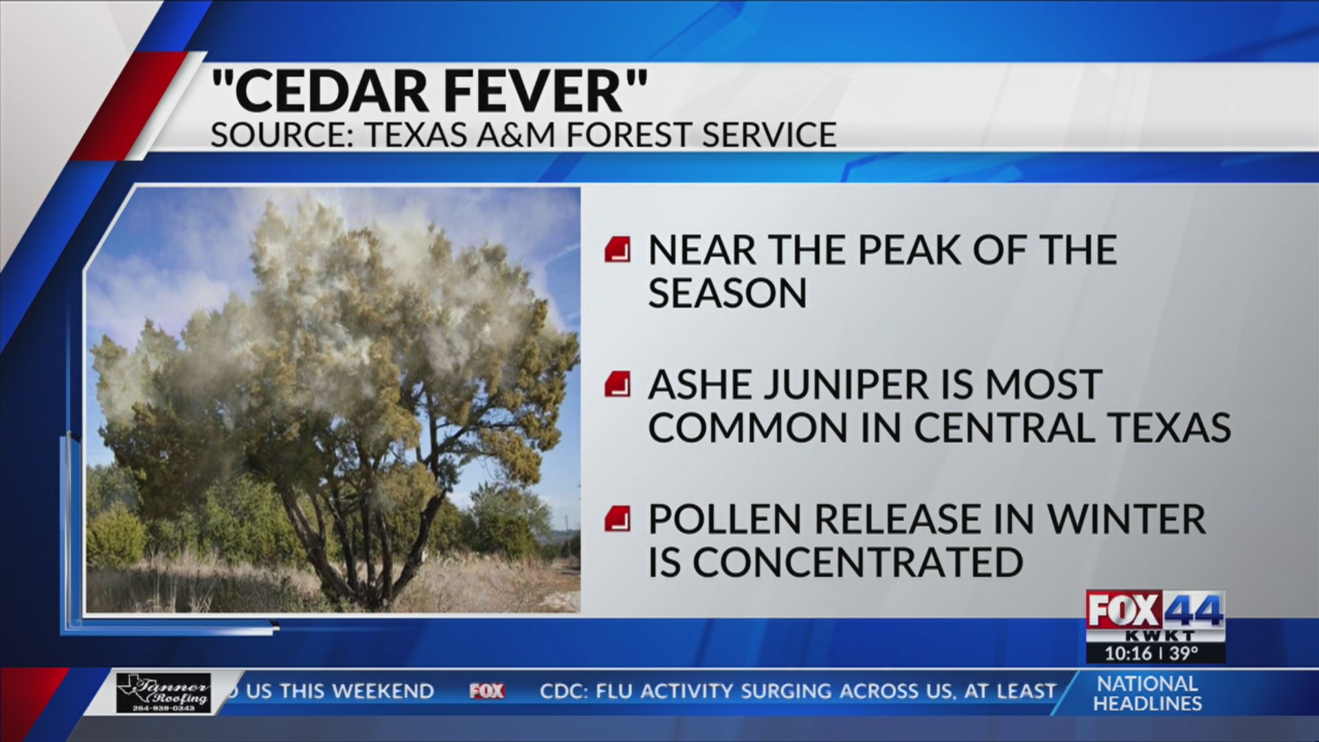 Got the Sniffles? It could just be Cedar Fever – KWKT – FOX 44