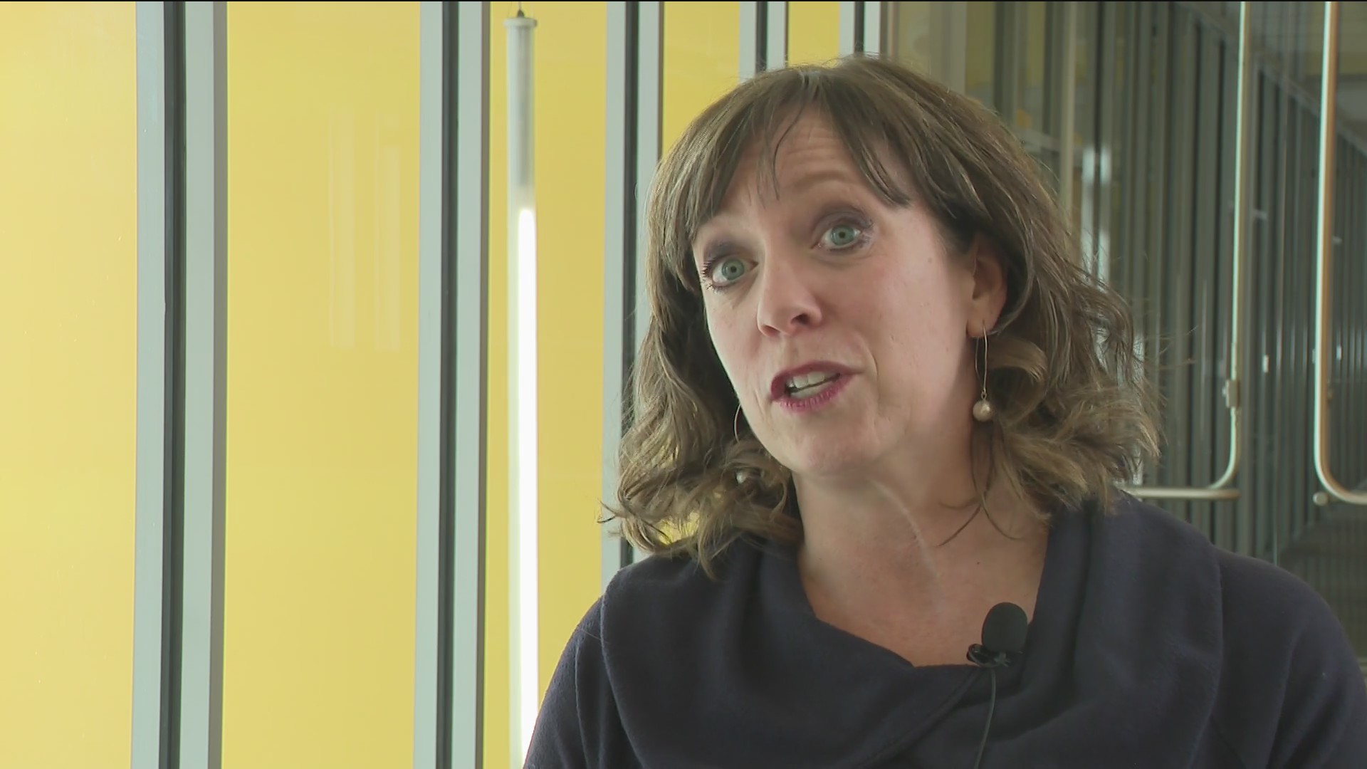 DART’s CEO Amanda Wanke to leave for new role in spring – who13.com
