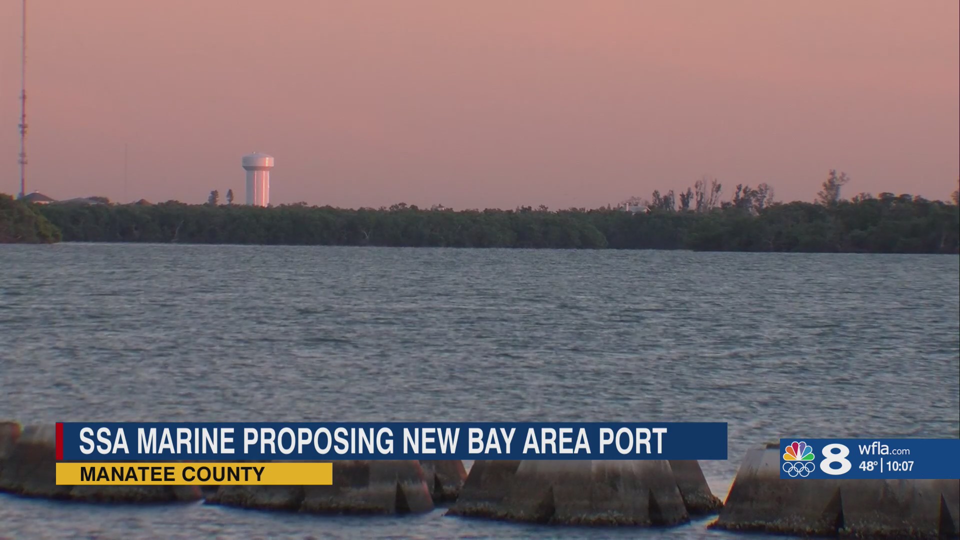 Company proposes new cruise port in Tampa Bay that can accommodate ...