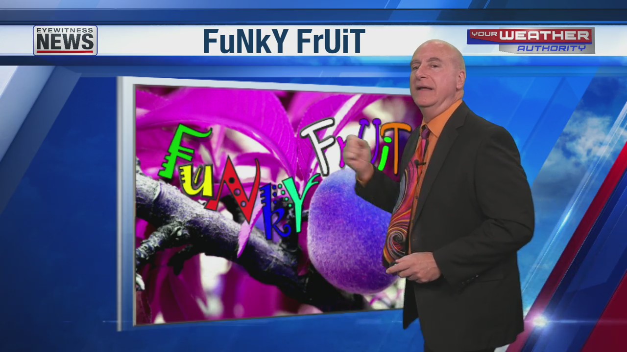 FuNkY FrUiT Shocked Burger 2 – Eyewitness News (WEHT/WTVW)