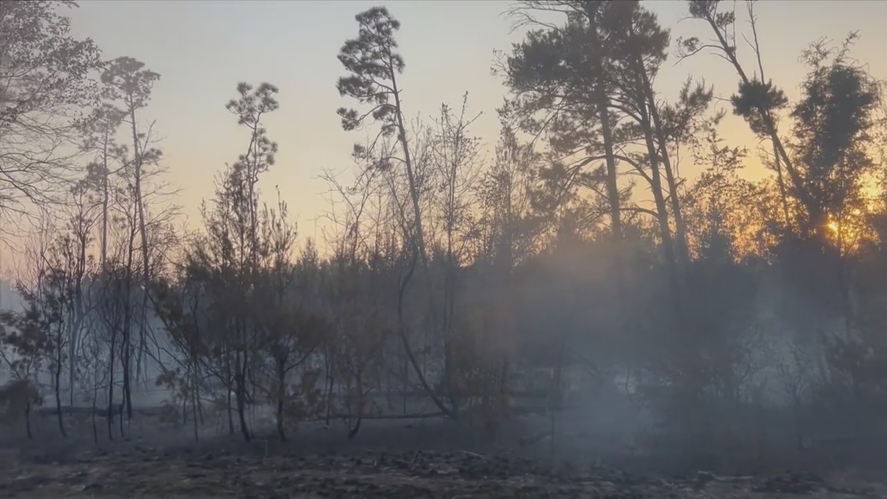 Bay County updates wildfire plan to boost coordination and response ...