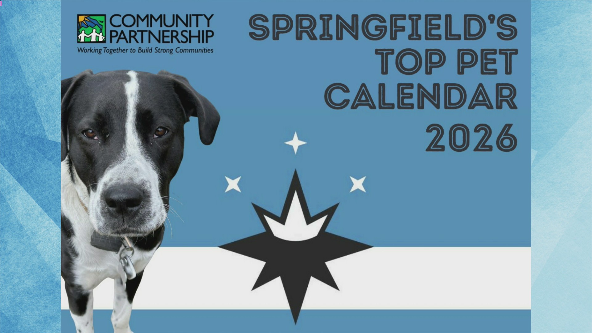 Submit Your Pet to be Springfield’s 2026 Top Pet – KOLR – OzarksFirst.com
