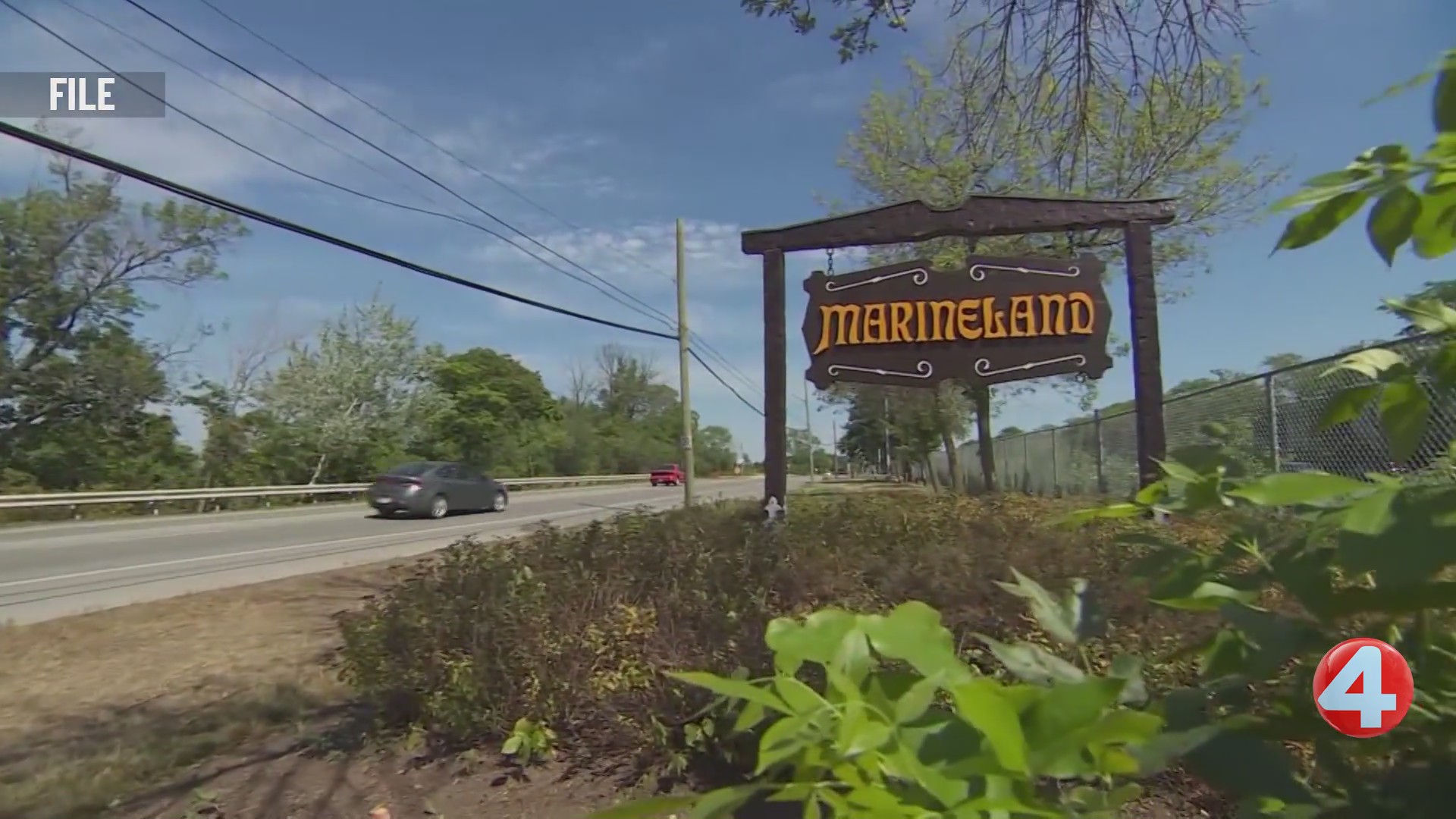 Marineland whales could be coming to U.S. – News 4 Buffalo