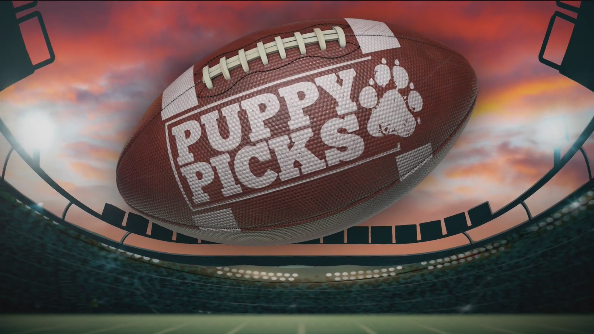 Puppy Picks 2025: Dobby predicts Texans vs. Chiefs – who13.com