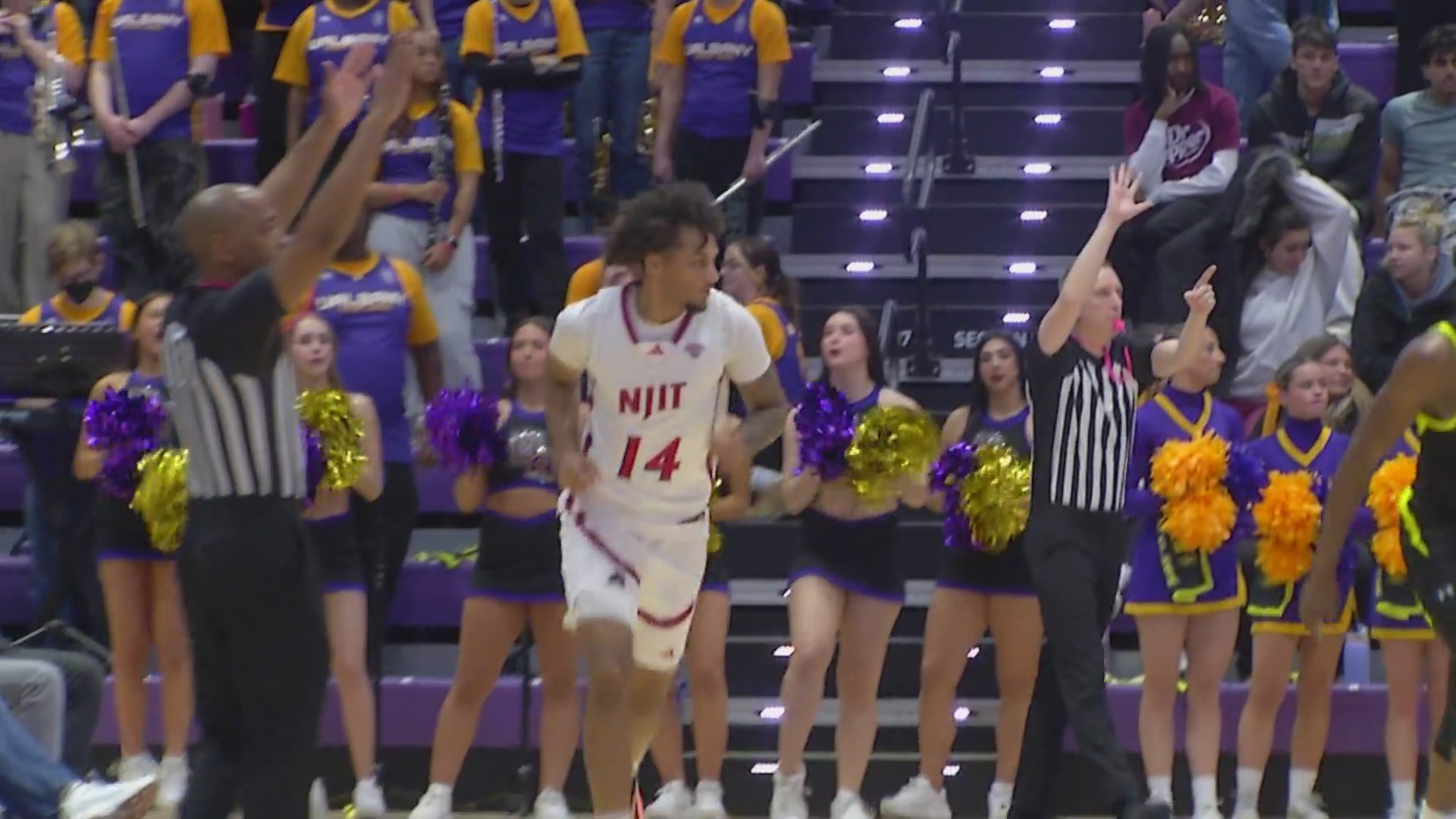 Great Danes downed by NJIT – NEWS10 ABC